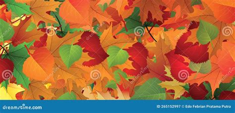 Temperate Deciduous Forest Tree And Shrub Foliage Description Outline