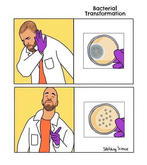 43 Lab Memes Ideas Science Humor Biology Humor Science Jokes