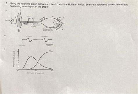 Solved 2 Using The Following Graph Below To Explain In