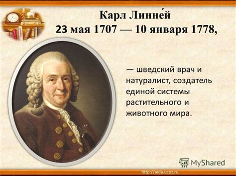Гдз по математике ершова голобородько 6 класс jykfqy | 5 класс, Класс ...