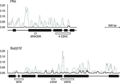 Nucleotide Diversity And Divergence Along Pho And Suz12 Sliding