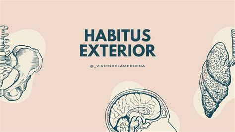 Habitus Exterior Viviendo La Medicina Udocz