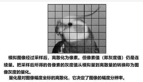 数字图像处理期末整理 Csdn博客