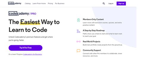 unlocking code mastery the top 10 coding websites for learning and