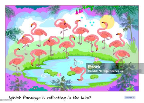 어린이와 성인을 위한 논리 퍼즐 게임 어떤 플라밍고가 호수에 반사되고 있습니까 수수께끼 책 페이지입니다 아이들의 공간적 사고를