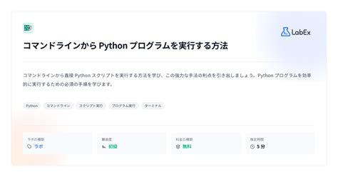 コマンドラインから Python プログラムを実行する方法 Labex