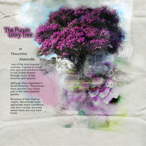 Anna Color 613 Oscraps Digital Scrapbooking And Artist Community