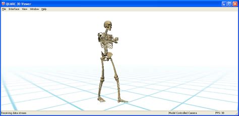 Quarc Visualization Skeleton Walking Quarc Demos