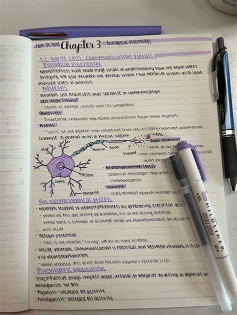 Neurons Study Flashcards Nurse Study Notes School Organization Notes Nursing School Notes