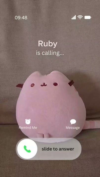 Ruby Is Calling Accept Or Decline 😄🥲 Youtube