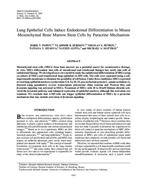 Pdf Lung Epithelial Cells Induce Endodermal Differentiation In Mouse