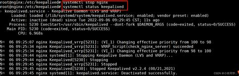 高可用系列keepalived Nginxkeepalived架构keepalivednginx高可用架构 Csdn博客