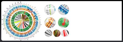 Course CIRCOS Circular Genome Data Visualization