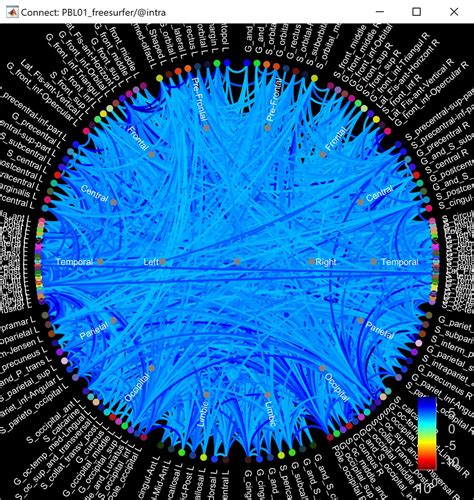 Displaying Negative T Test Values After A Permutation Test On Functional Connectivity