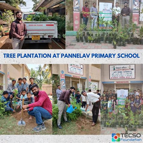 Tecso Global Foundation On Linkedin Treeplantation Panelav Greenearth Plantatree