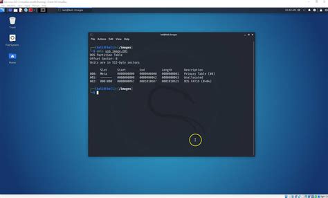 Sleuth Kit Fsstat Command
