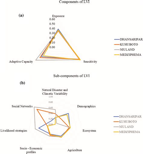 Vulnerability Triangle And Radar Diagram Of The A Components Of Lvi B