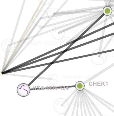 Javascript Showing Connected Nodes On Mouseover Shows Crossed Links Stack Overflow