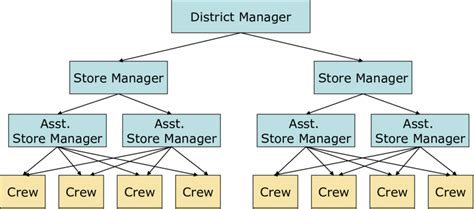 Management Hierarchy Download Scientific Diagram