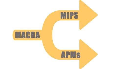 MIPS Vs APMs Which Path Your Medical Practice Need To Take