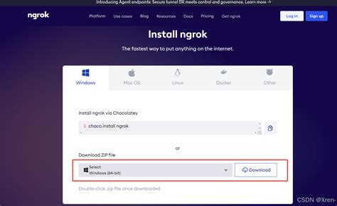ngrok内网穿透 ngrok下载 csdn博客