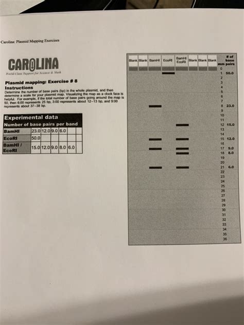 Solved Carolina Plasmid Mapping Exercises CAROLINA S Of Mm Chegg Com