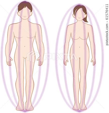 Whole Body Circulation Image Gender Set Stock Illustration 61576411 PIXTA