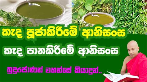 කොලකැද පූජාකිරීමේ ආනිසංස සහ කැද පානය කිරීමේ ආනිසංස Wenayika Tv Youtube