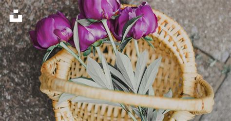 회색 표면에 고리 버들 세공 바구니에 분홍색 장미 꽃 사진 Unsplash의 무료 바구니 이미지