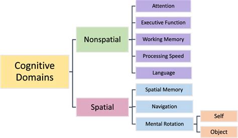 Schematic Of Cognitive Domains Download Scientific Diagram