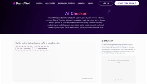 Ai Detector By Content At Scale Detect With Confidence Your Ultimate