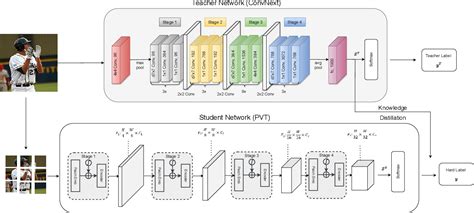 Distilling Knowledge From Cnn Transformer Models For Enhanced Human