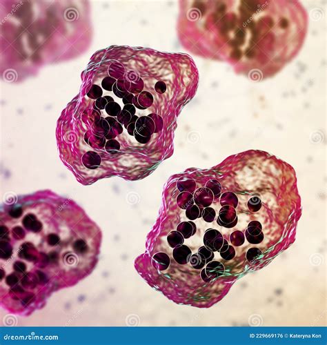 Giant Multinucleated Cells Stock Illustration