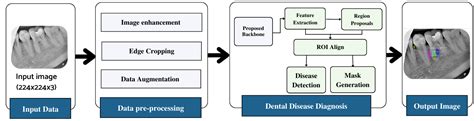 Github Anumfatima427dental Caries Segmentation This Repository