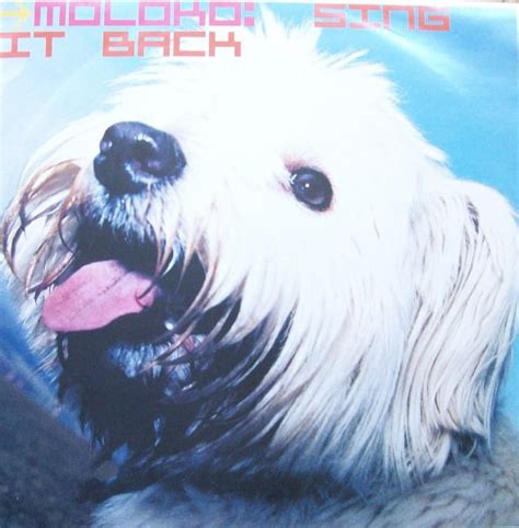 Moloko Sing It Back Releases Reviews Credits Discogs