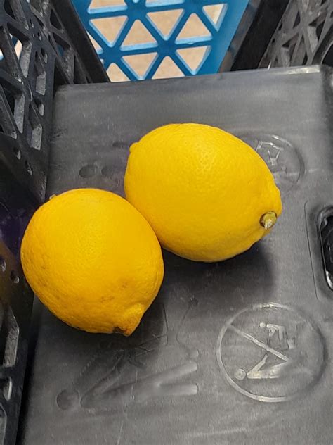 Food Ingredients Detection Object Detection Dataset And Pre Trained