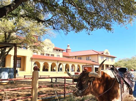 텍사스 댈러스 포트워스 월별 날씨 옷차림 여행적기 축제 네이버 블로그