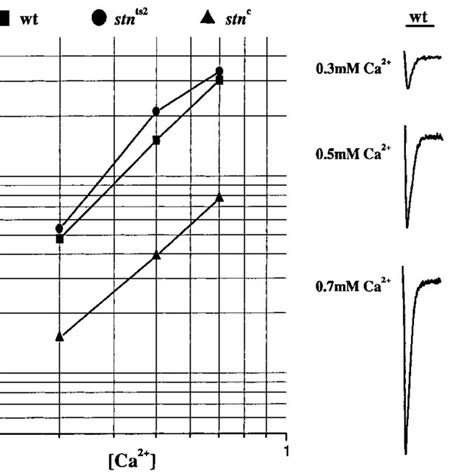 Neurotransmitter Release Maintains Wild Type Sensitivity To Relative Download Scientific