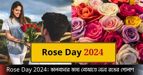 Rose Day 2024 ভালবাসার ভাষা বোঝাতে নানা রঙের গোলাপ Progotir Bangla