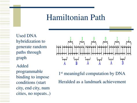 Ppt Dna Computing By Self Assembly Powerpoint Presentation Free