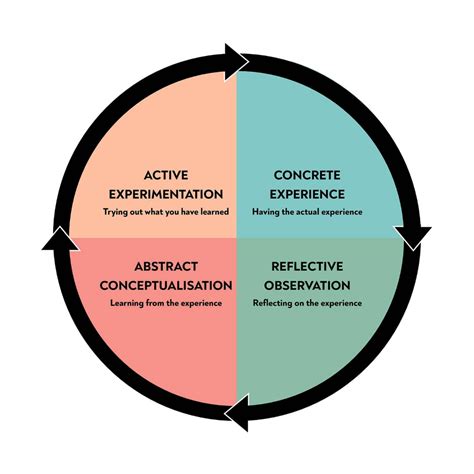 Kolbs Learning Styles And Experiential Learning Cycle Simply Psychology Experiential
