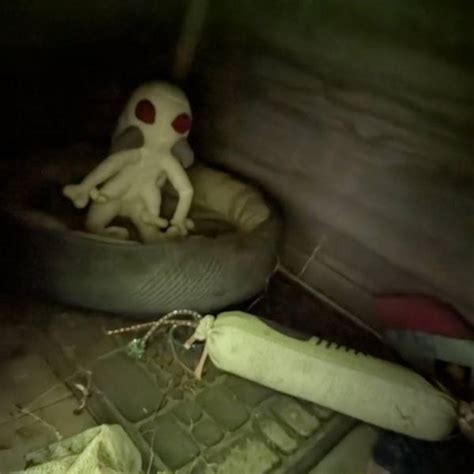 Pop And Cub Happy Tree Friends Htf Plushies 25 Cm Etsy