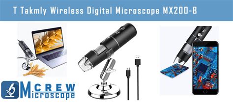 Best Pocket Microscope [ Guide And Reviews ] Microscope Crew