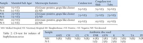 Isolation And Identification Of Staphylococcus Aureus In Culture On Download Table
