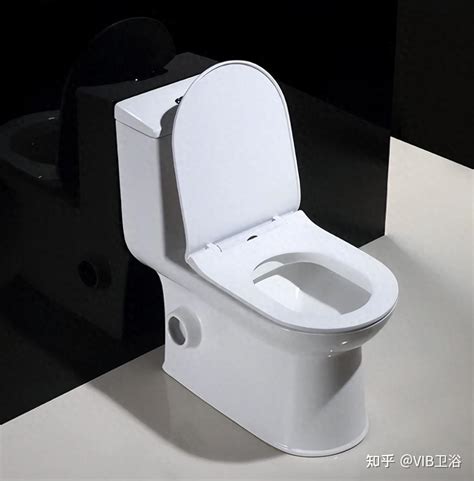 虹吸马桶和直冲马桶区别是什么？ 知乎