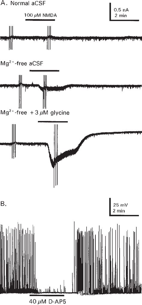 Actions Of Nmda And An Nmda Receptor Antagonist A Inward Currents