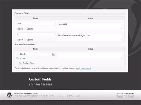 Custom Wordpress Theme Development Ppt