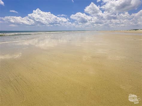 Day Trip To Cumberland Island National Seashore