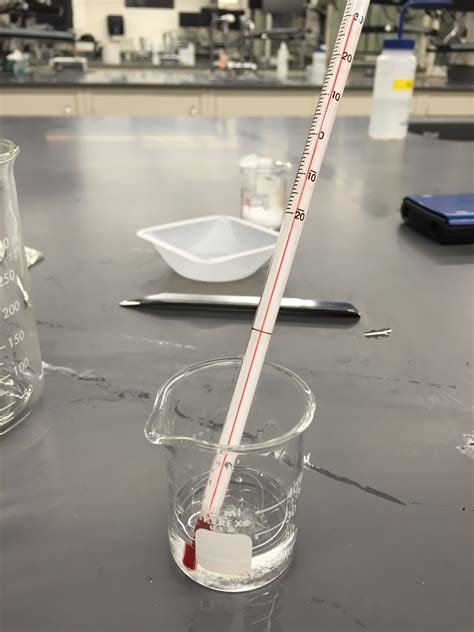 Meghana S Molecules Solubility A Guided Inquiry Lab