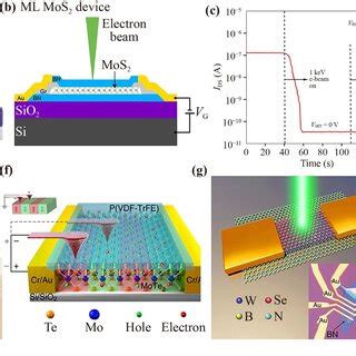 2D TMDs For Valley Photodetectors A Illustration Of Optical Spin Download Scientific Diagram